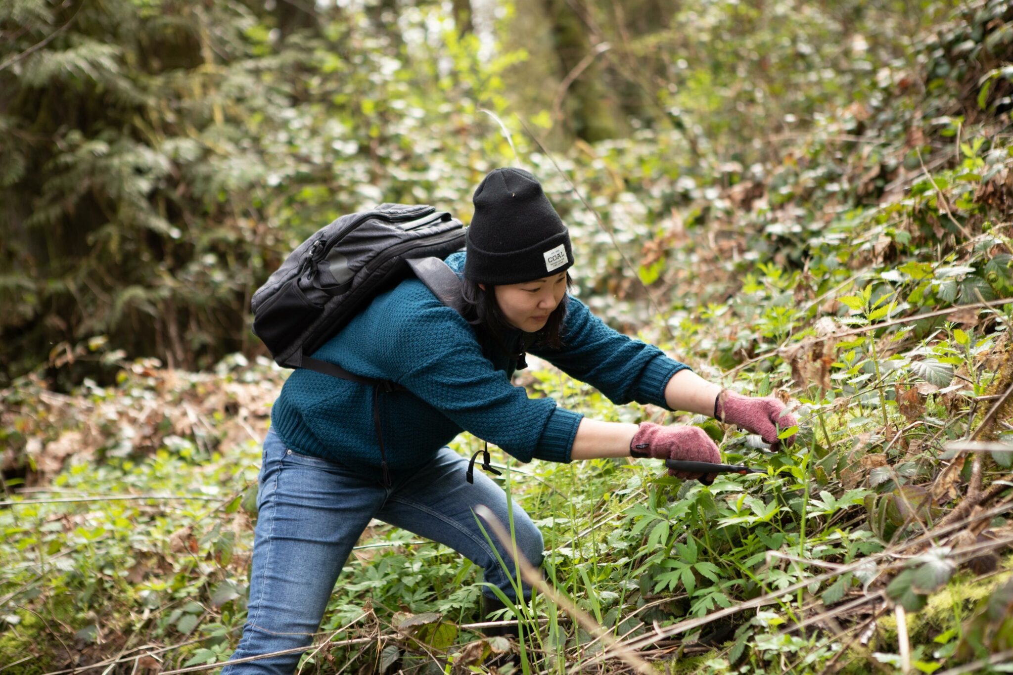 Foraging for Inspiration: An Interview with Cindy’s Rooftop Executive Chef Kaleena Bliss ...